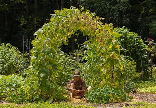 The Seven-Step Homestead - Leah M. Webb